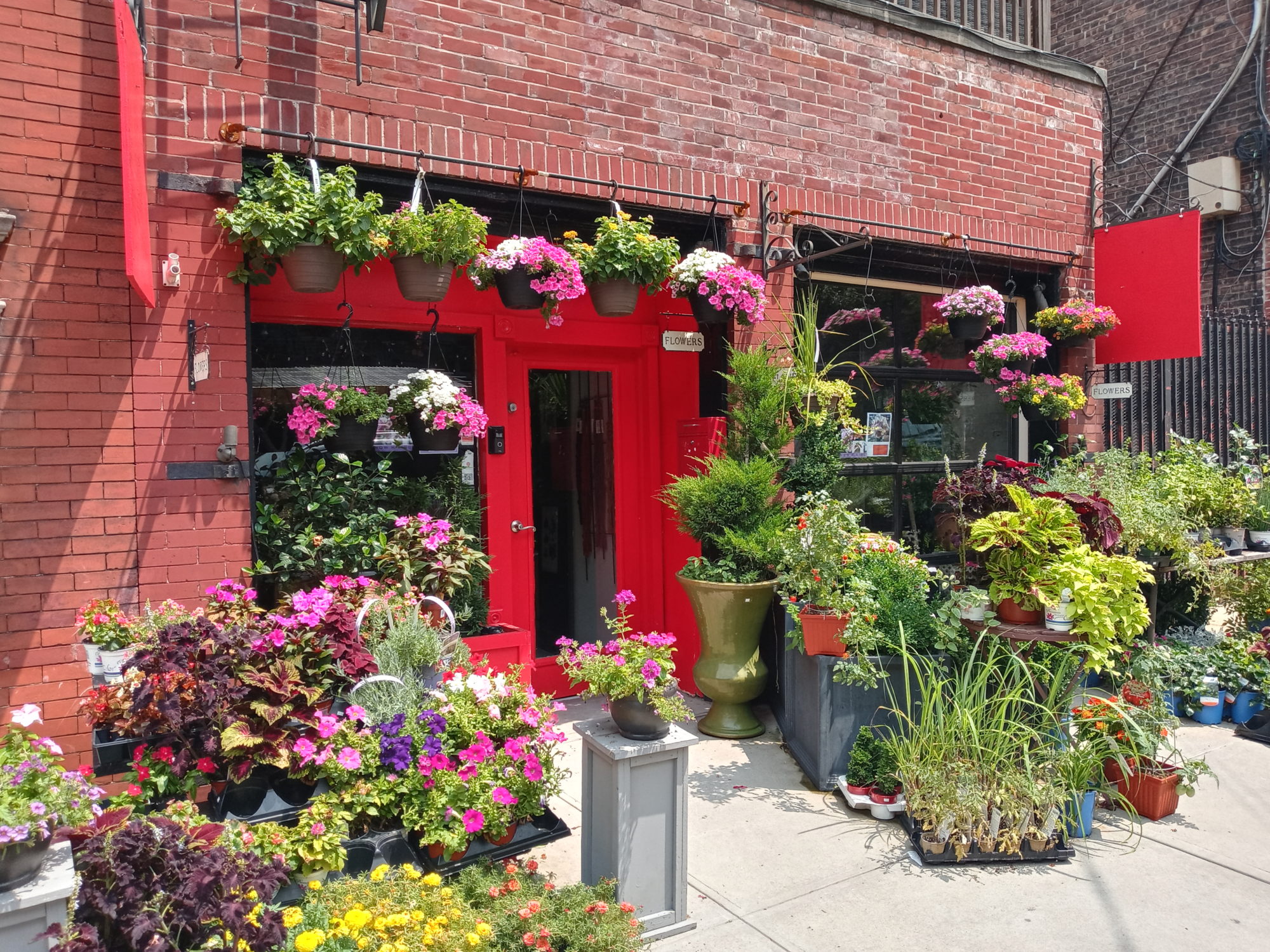 Beethoven's Veranda Florist - Howard Russell Hill